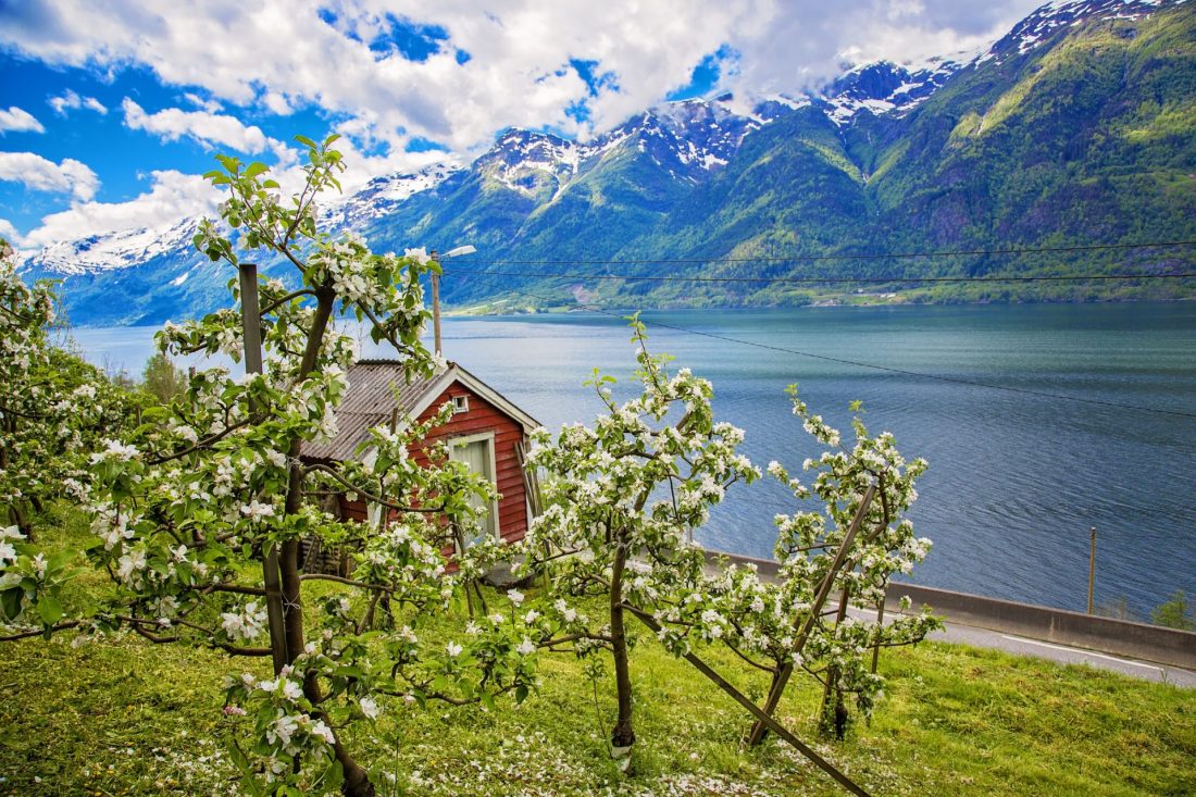 I migliori fiordi della Norvegia: dove si trovano, come arrivarci e ...